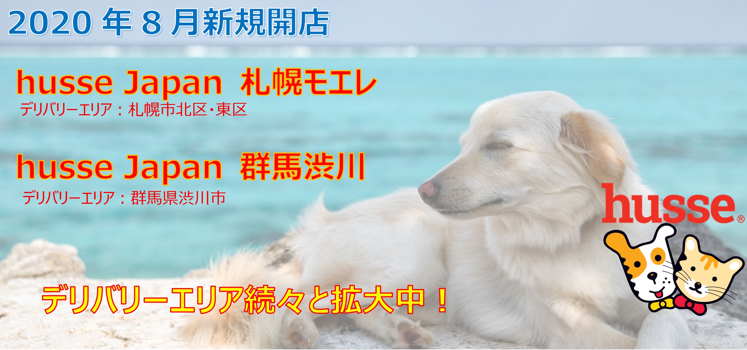 Husse - Free home delivery of quality food for your dog and cat